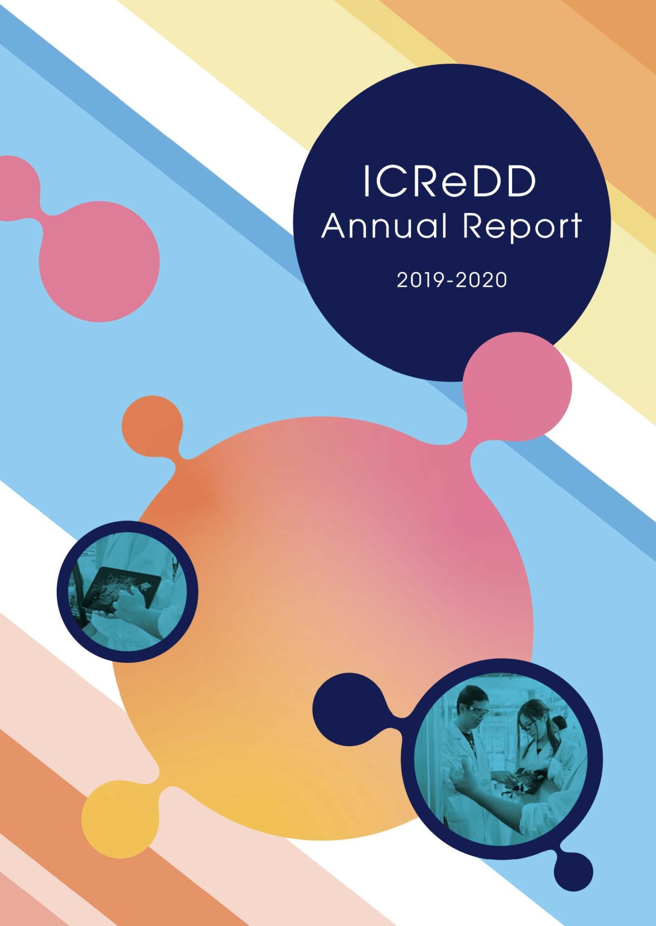 ICReDD Annual Report 2019 Released – ICReDD: Institute for Chemical Reaction Design and ...