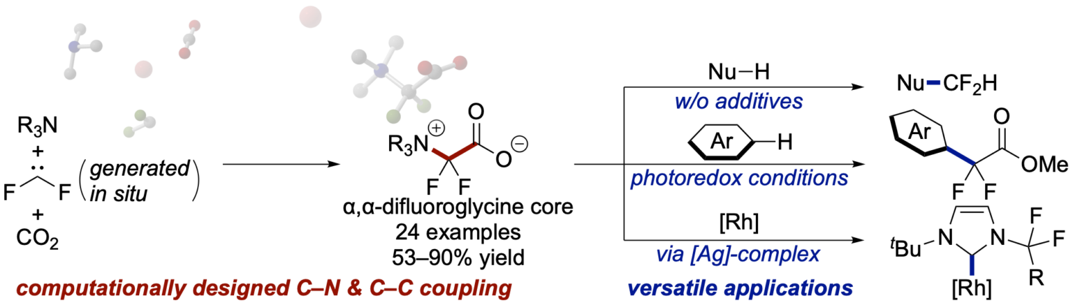 Computationally Designed Synthesis of Difluoroglycine Derivatives from ...