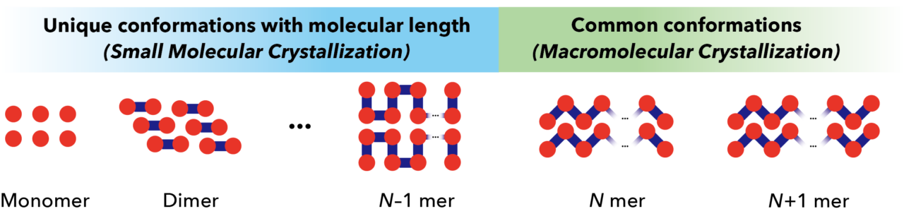 Determining Critical Chain Length for Macromolecular Crystallization of ...