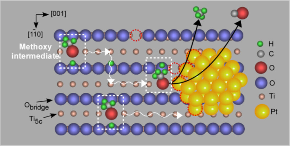 Dynamic behavior of intermediate adsorbates control activity and ...