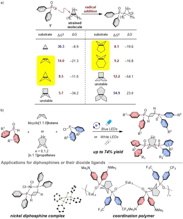 Development of a New Method for the Chemical Synthesis of Diphosphine ...